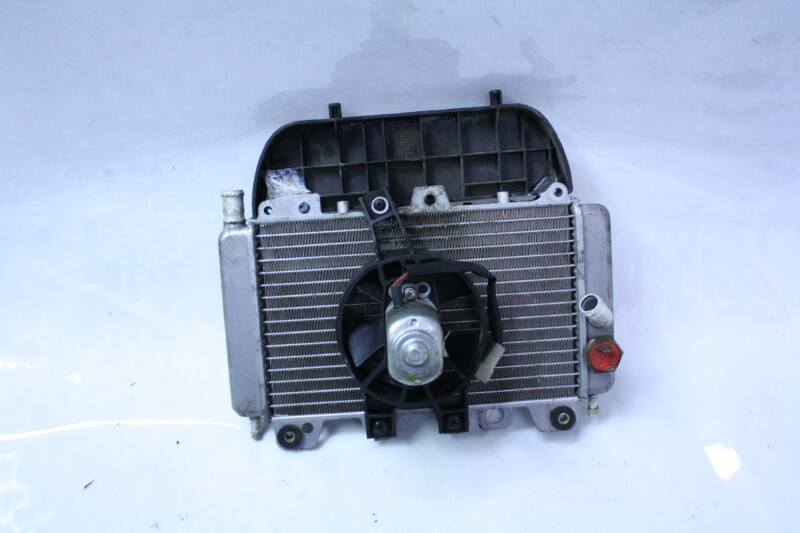 Piaggio Gilera X 9 Beverly X9 Evo Runner VX FXR FX Kühler Kühlsystem ...