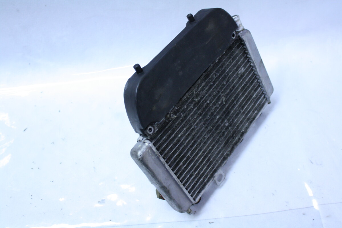 Piaggio Gilera X 9 Beverly X9 Evo Runner VX FXR FX Kühler Kühlsystem ...